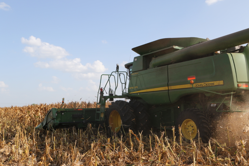 Central Texas corn yields, quality down due to drought - Texas Farm Bureau