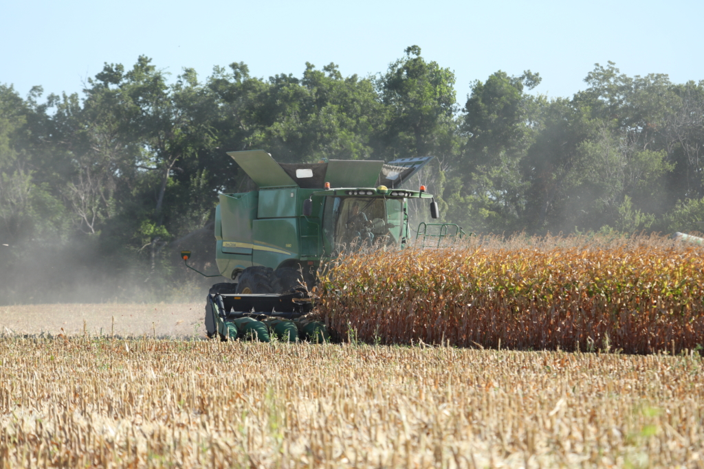One year after bad drought, Prinz harvests a golden crop - Texas Farm ...